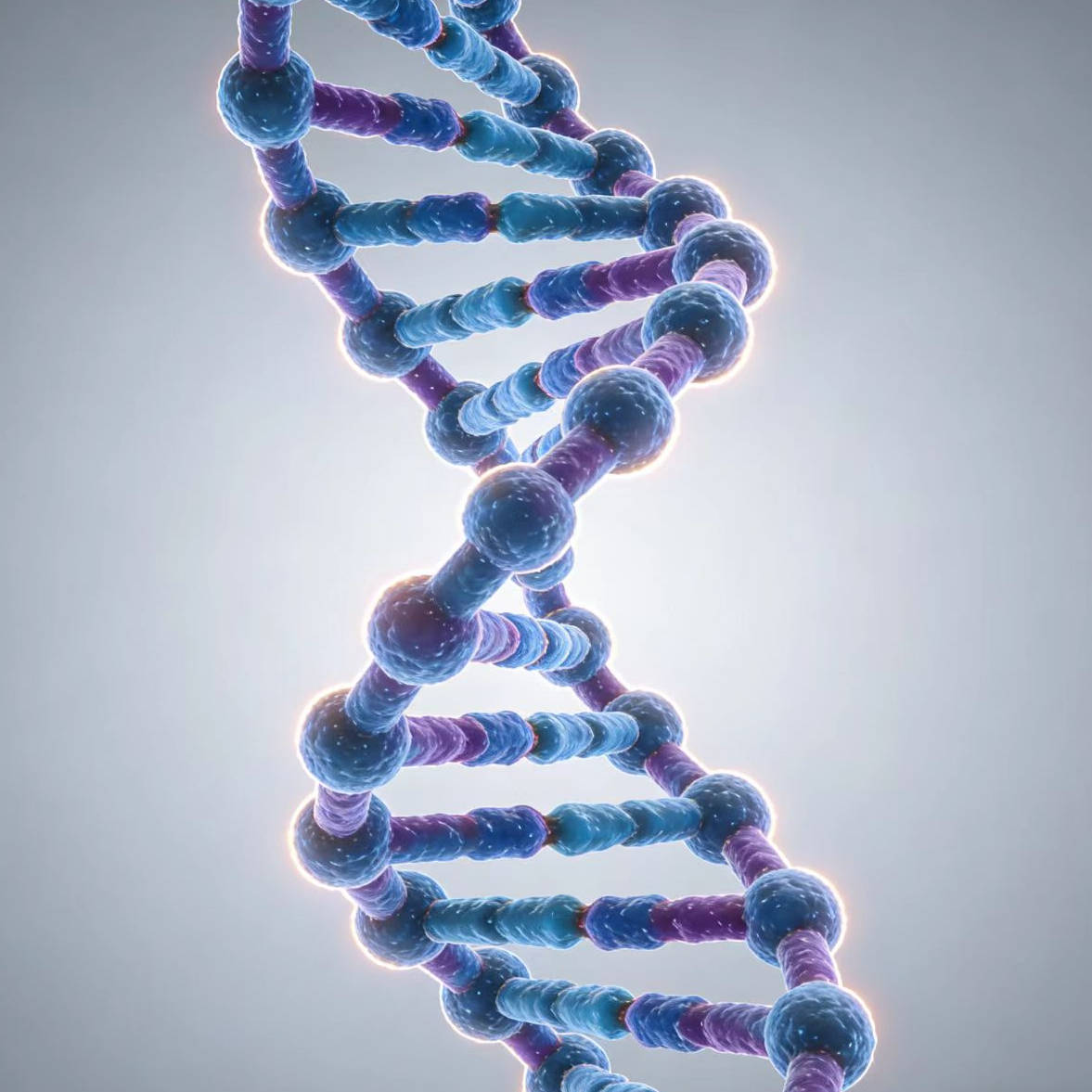 [Asn1, Val5]-Angiotensin II；血管紧张素II；Asn-Arg-Val-Tyr-Val-His-Pro-Phe_受体 ...