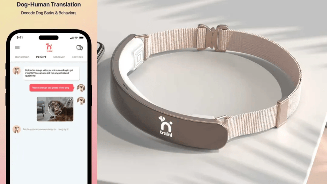 把“ChatGPT”挂狗脖子上！硅谷用AI读懂狗子情绪，英伟达大佬也投了_Traini_宠物_数据